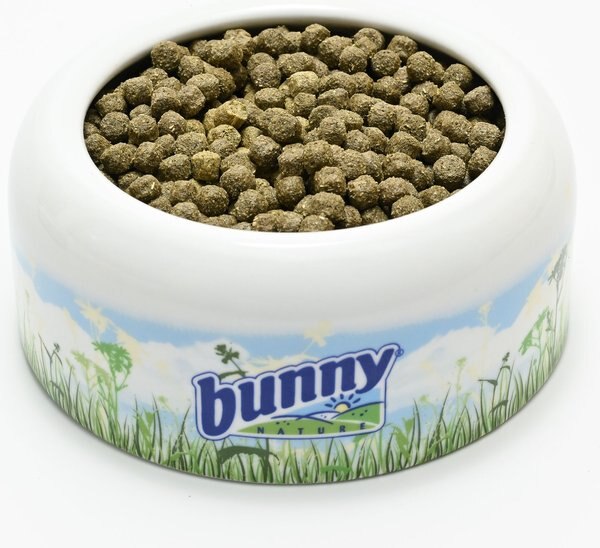 BUNNY NATURE Crispy Snack Vegetables Rabbit & Hamster Treats, 1-oz tub ...
