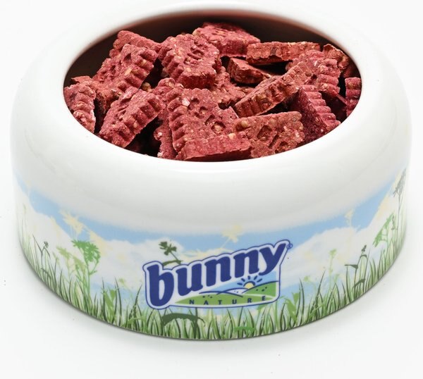 BUNNY NATURE Crunchy Cracker Beetroot Rabbit & Hamster Treats, 1.8-oz ...