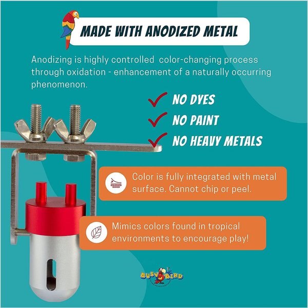 Out of Stock - BUSY BIRD Goodie Gadget Bird Toy - Chewy.com