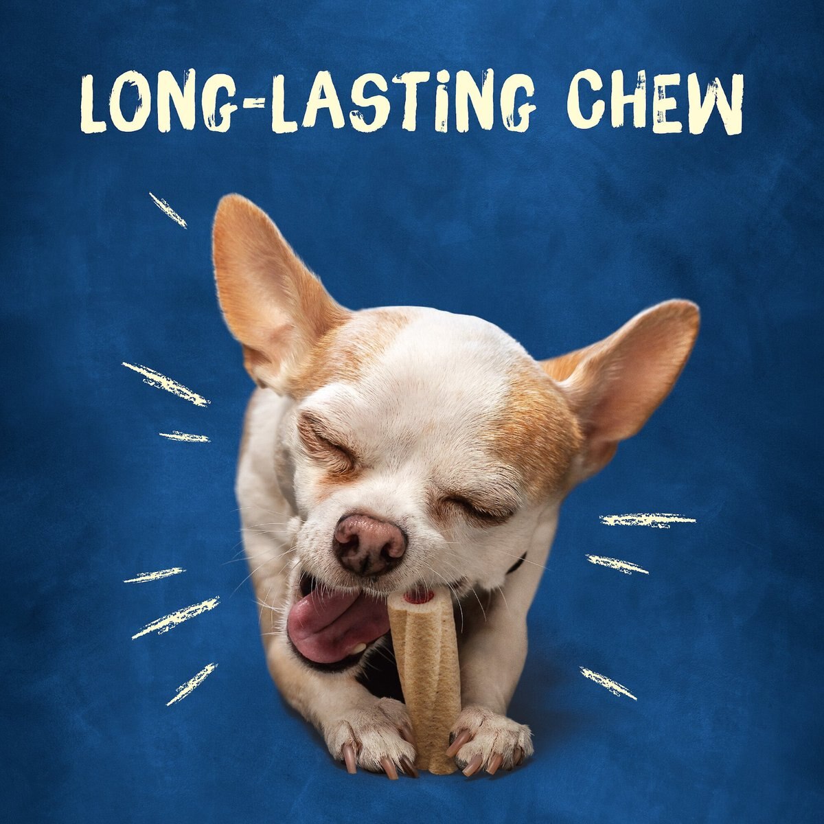 BUSY BONE Long-Lasting Real Meat Tiny Dog Treat, 60 count - Chewy.com