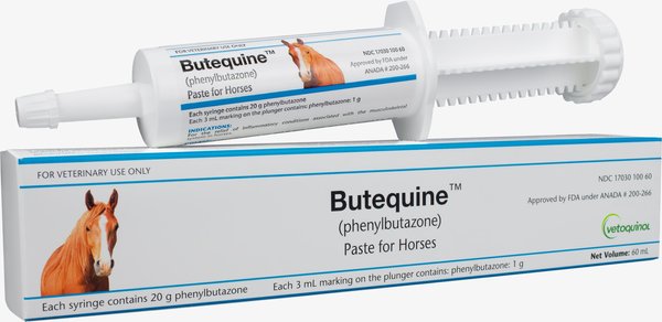 BUTEQUINE Phenylbutazone (Generic) Paste for Horses, 20gm, 60mL Syringe - Easy Refills | Chewy Rx
