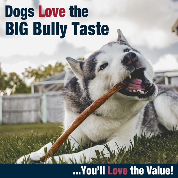 CADET Adult Beef Bully Hide Sticks Natural Dog Chew Treats, Large, 8 ...