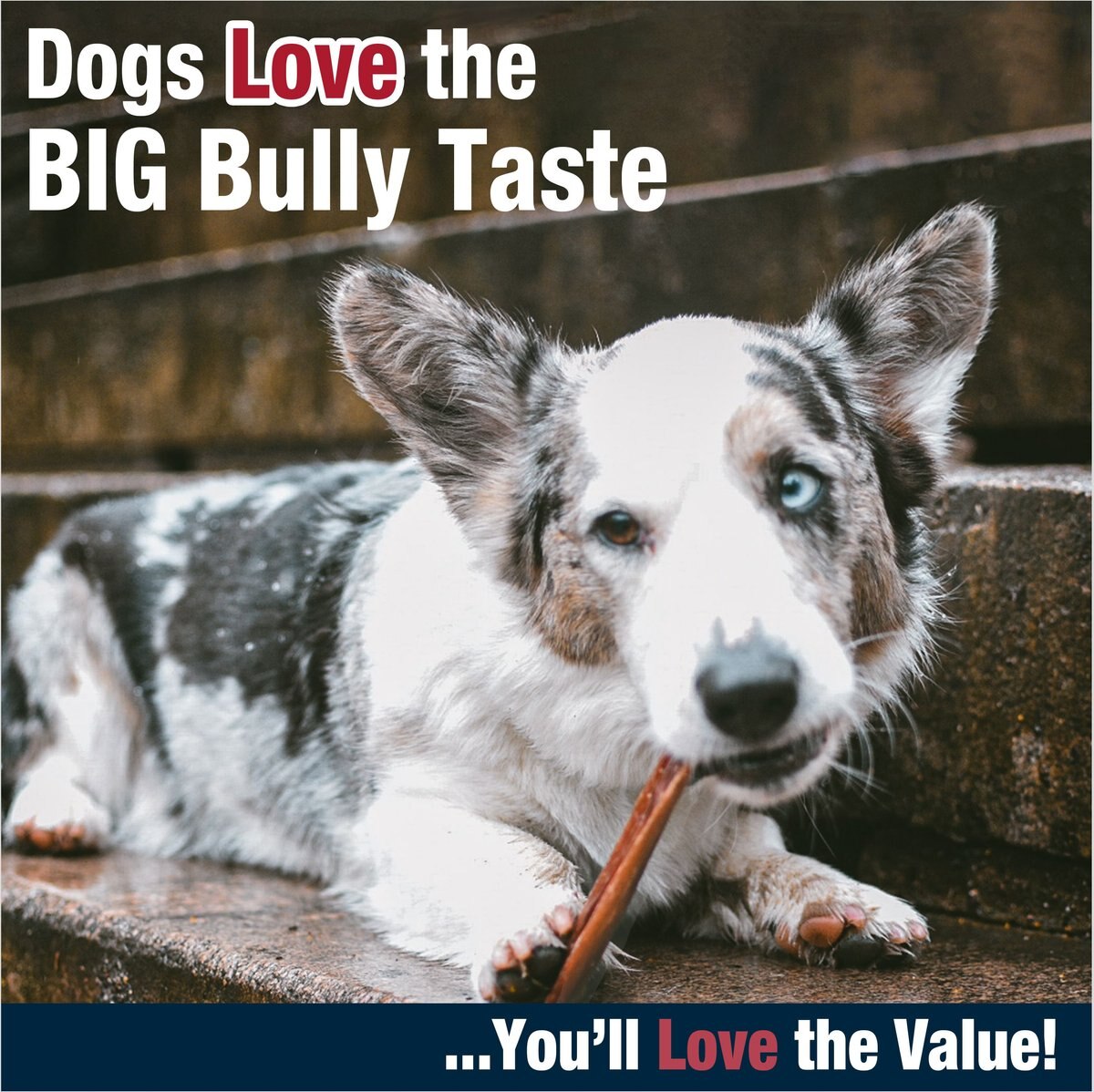 CADET Bully Hide Sticks All-Natural Dog Chews, Small, 9 count - Chewy.com