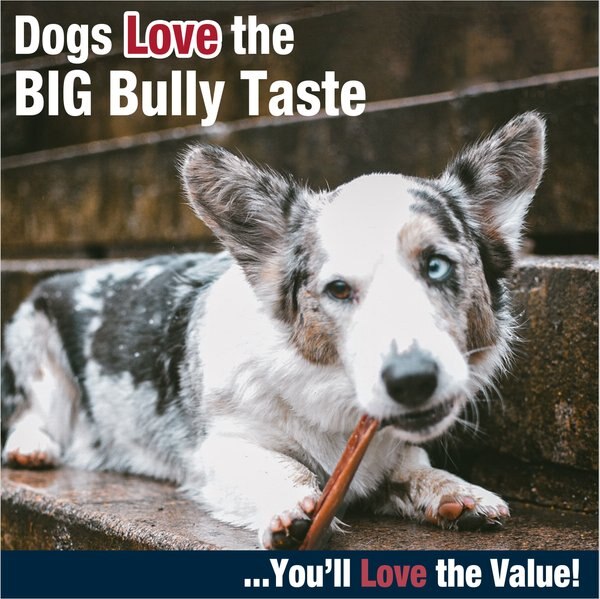 CADET Bully Hide Sticks All-Natural Dog Chews, Small, 9 count - Chewy.com