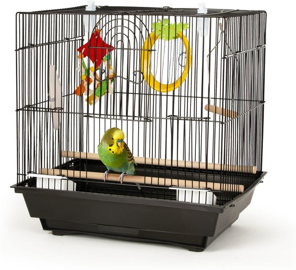 CAITEC 355S Starter Kit Bird Cage, Black - Chewy.com