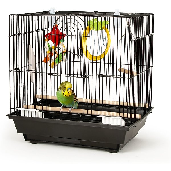 CAITEC 355S Starter Kit Bird Cage, Black - Chewy.com