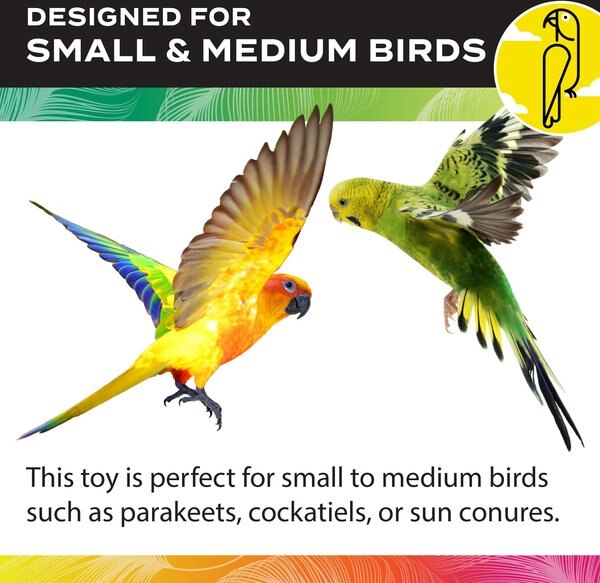 CAITEC Bird Ladder, 4x10-in - Chewy.com