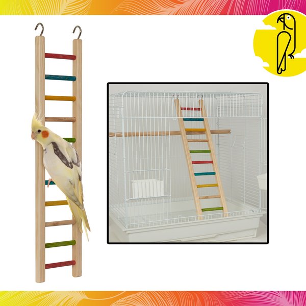CAITEC Cockatiel Ladder, 24-in - Chewy.com