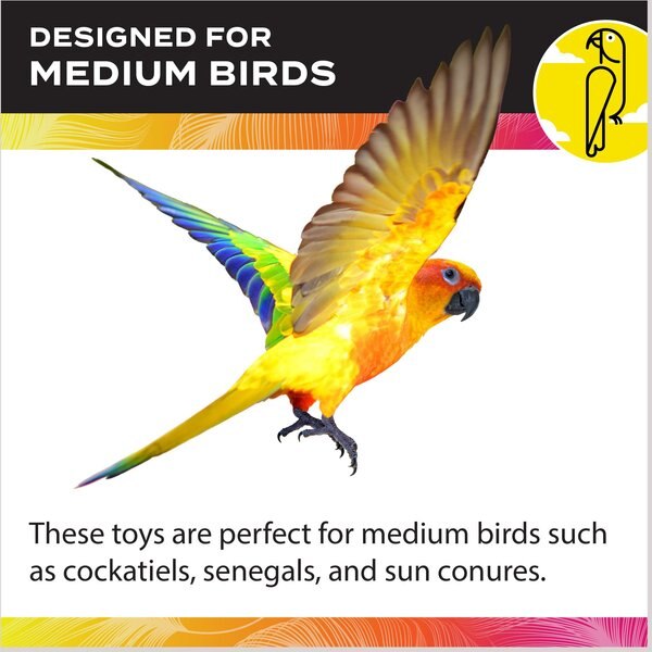 CAITEC Cockatiel Ladder, 24-in - Chewy.com