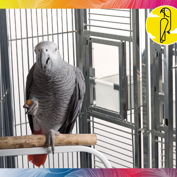 CAITEC Exterior Bird Cage Accessory, Small - Chewy.com