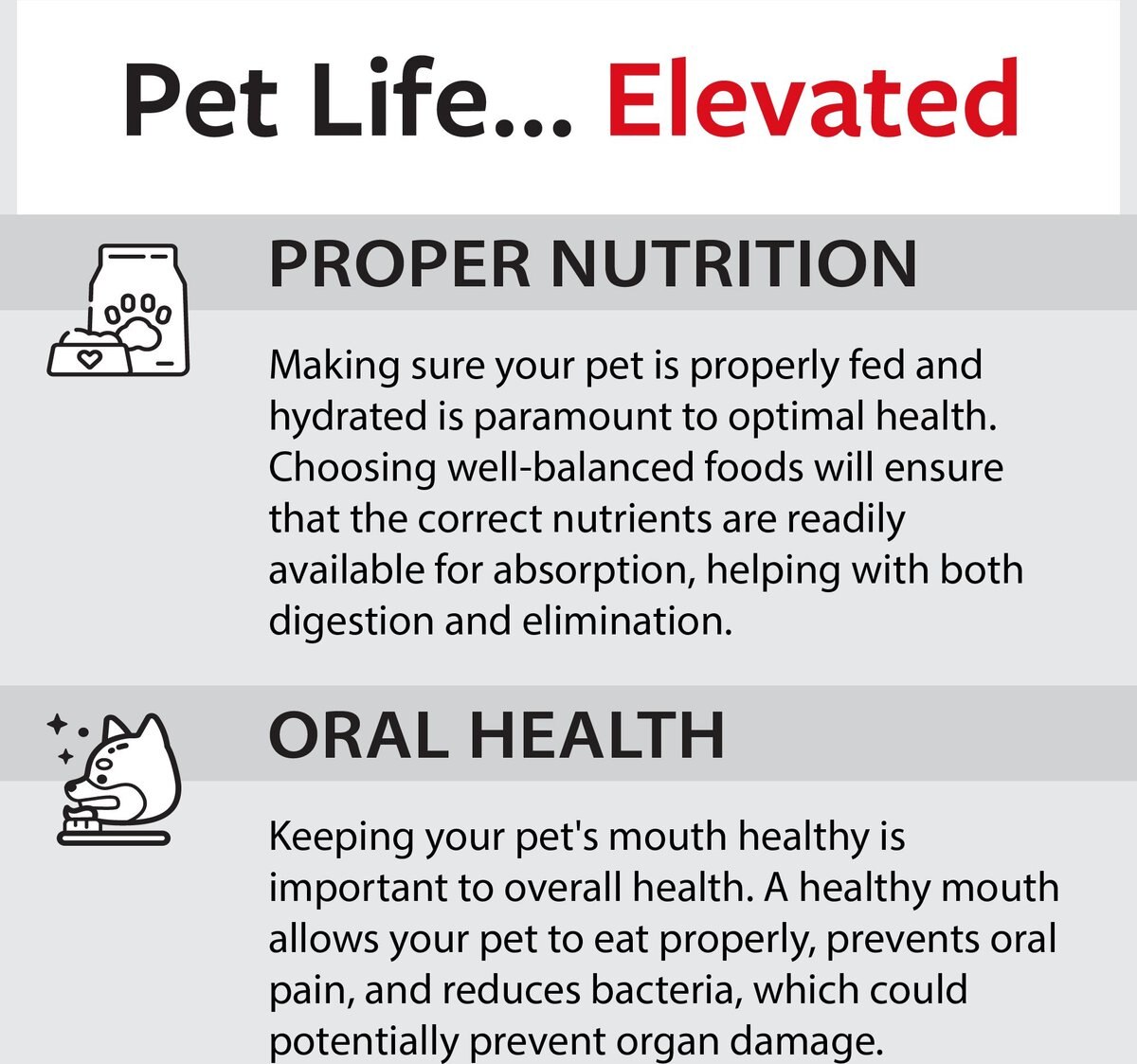 CAITEC Featherland Paradise Baffle Cage Bird Toy - Chewy.com