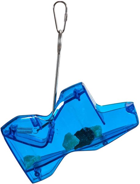 CAITEC Featherland Paradise See Saw Bird Toy - Chewy.com