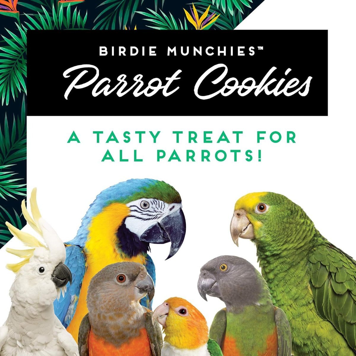 CAITEC Oven Fresh Bites Peanut Butter Cookies Parrot Treats, 4-oz bag ...
