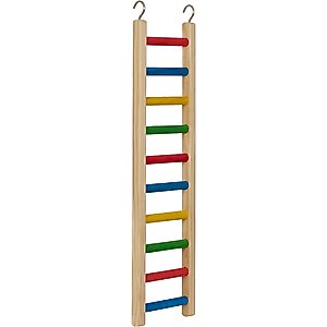CAITEC Parrot Ladder, 24-in - Chewy.com