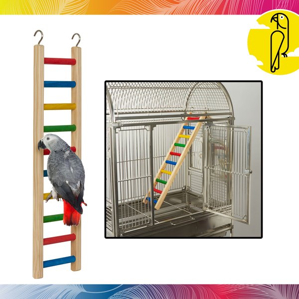 CAITEC Parrot Ladder, 24-in - Chewy.com