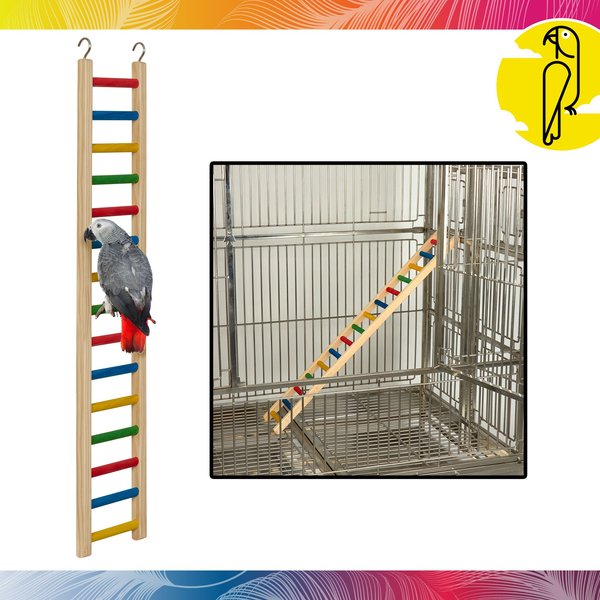 CAITEC Parrot Ladder, 36-in - Chewy.com