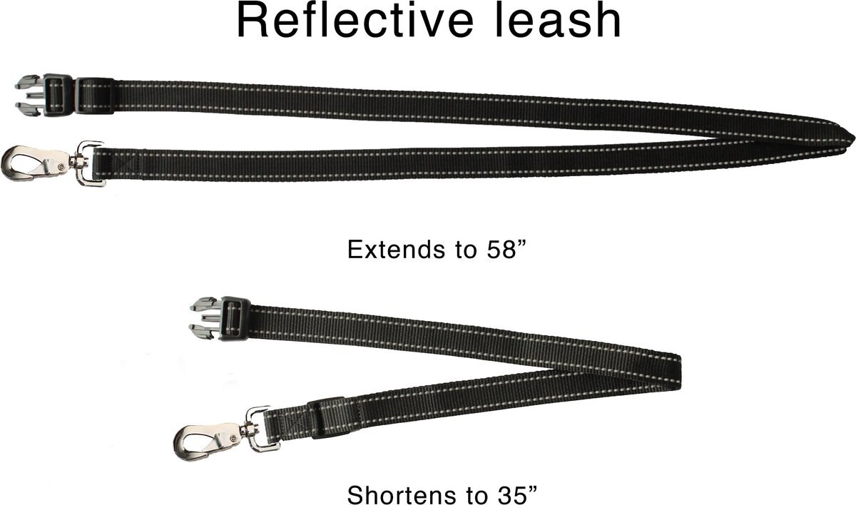 CALDWELL'S PET SUPPLY CO. Original Running Leash - Chewy.com