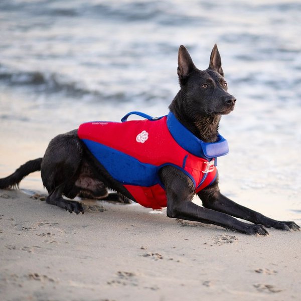 CANADA POOCH High Tide Life Dog Jacket, 12 - Chewy.com