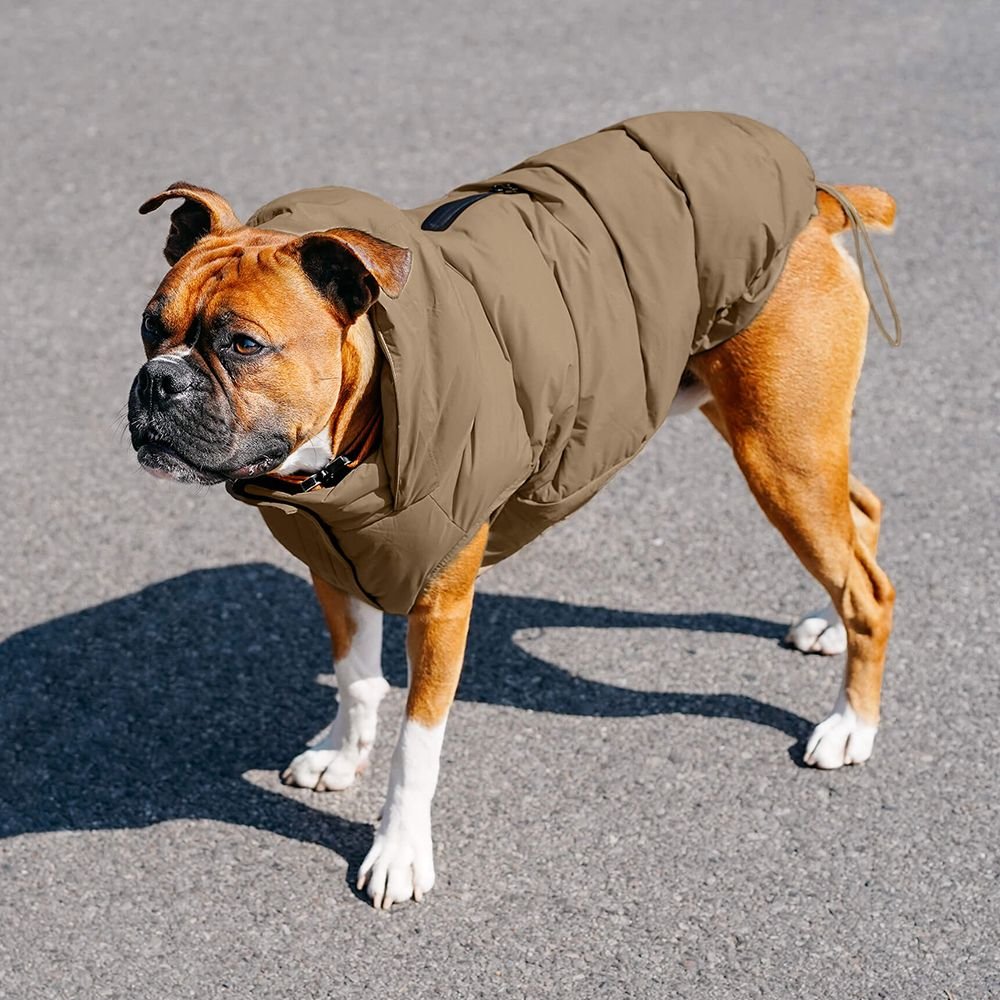 CANADA POOCH The Waterproof Puffer Dog Coat, Taupe, 24 - Chewy.com