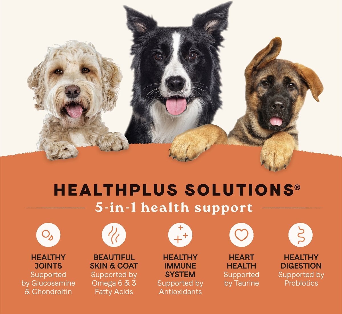 CANIDAE All Life Stages Multi-Protein Recipe Dry Dog Food, 5-lb bag ...