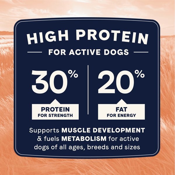 CANIDAE All Life Stages Salmon Recipe High Protein Dry Dog Food, 27-lb ...