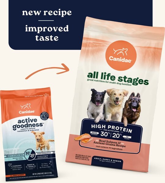 CANIDAE All Life Stages Salmon Recipe High Protein Dry Dog Food, 4-lb ...