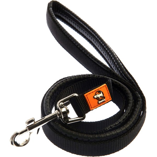 PETS FIRST Satin Nylon Dog Leash, Missouri, Small: 48-in long, 3/8 -in ...