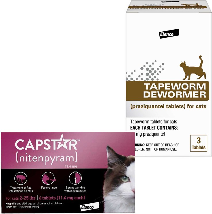 Cat Dewormers: Best Dewormer for Cats (Free Shipping) | Chewy