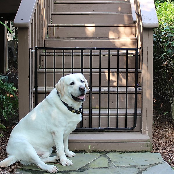 CARDINAL GATES Outdoor Dog Gate, Black - Chewy.com