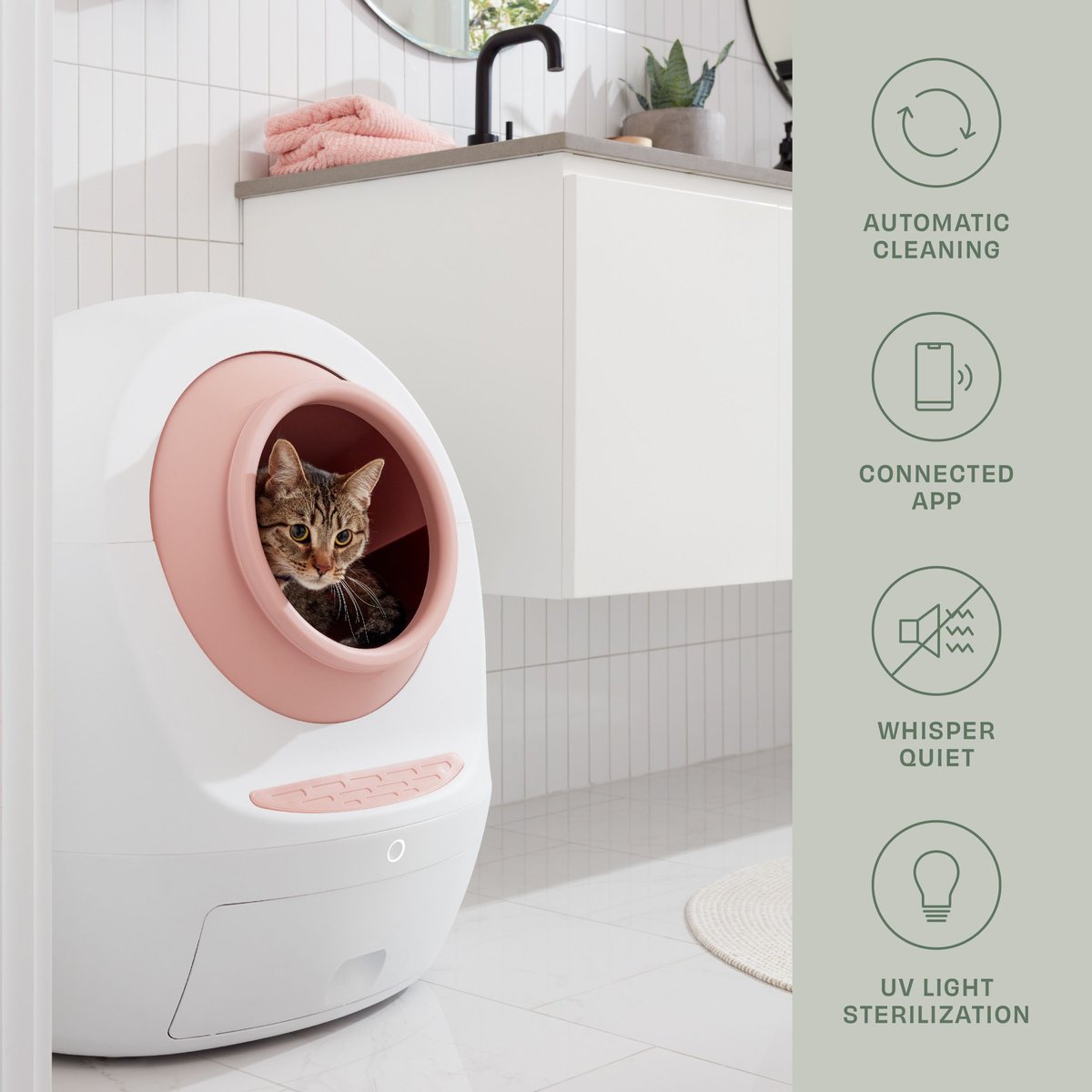 CASA LEO Leo's Loo Too WiFi Enabled Automatic Self-Cleaning Cat Litter ...