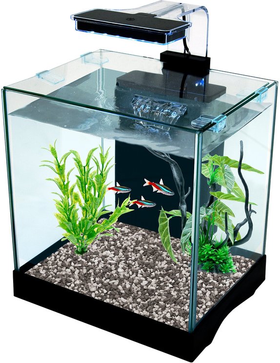 PLASTIC FISH TANKS & AQUARIUMS (Free Shipping) | Chewy