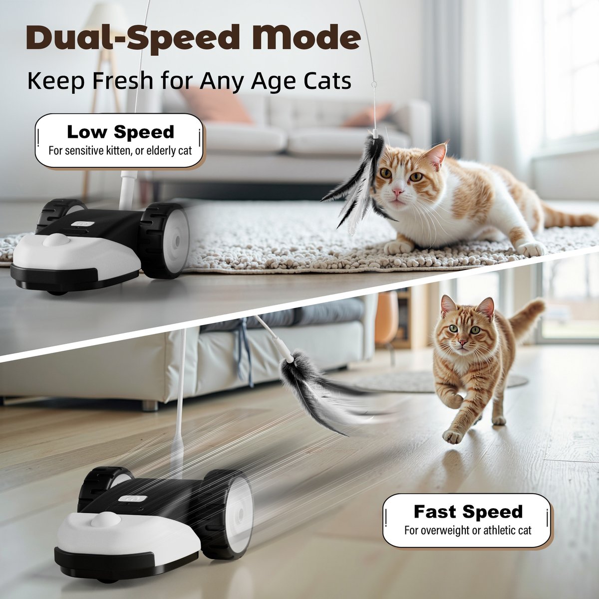 CASFUY 2-Speed Erratic Mouse Motion 3-in-1 Interactive Cat Toy with ...