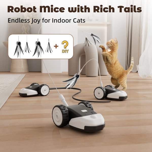 CASFUY 2-Speed Erratic Mouse Motion 3-in-1 Interactive Cat Toy with ...