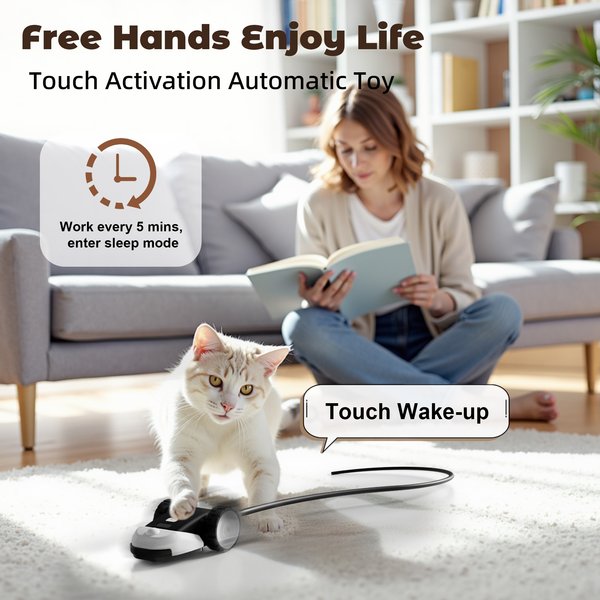 Out of Stock - CASFUY 2-Speed Erratic Mouse Motion 3-in-1 Interactive ...