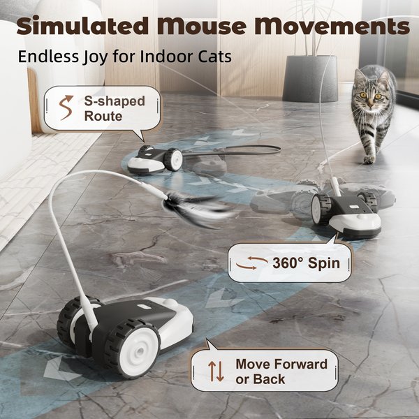 CASFUY 2-Speed Erratic Mouse Motion 3-in-1 Interactive Cat Toy with ...