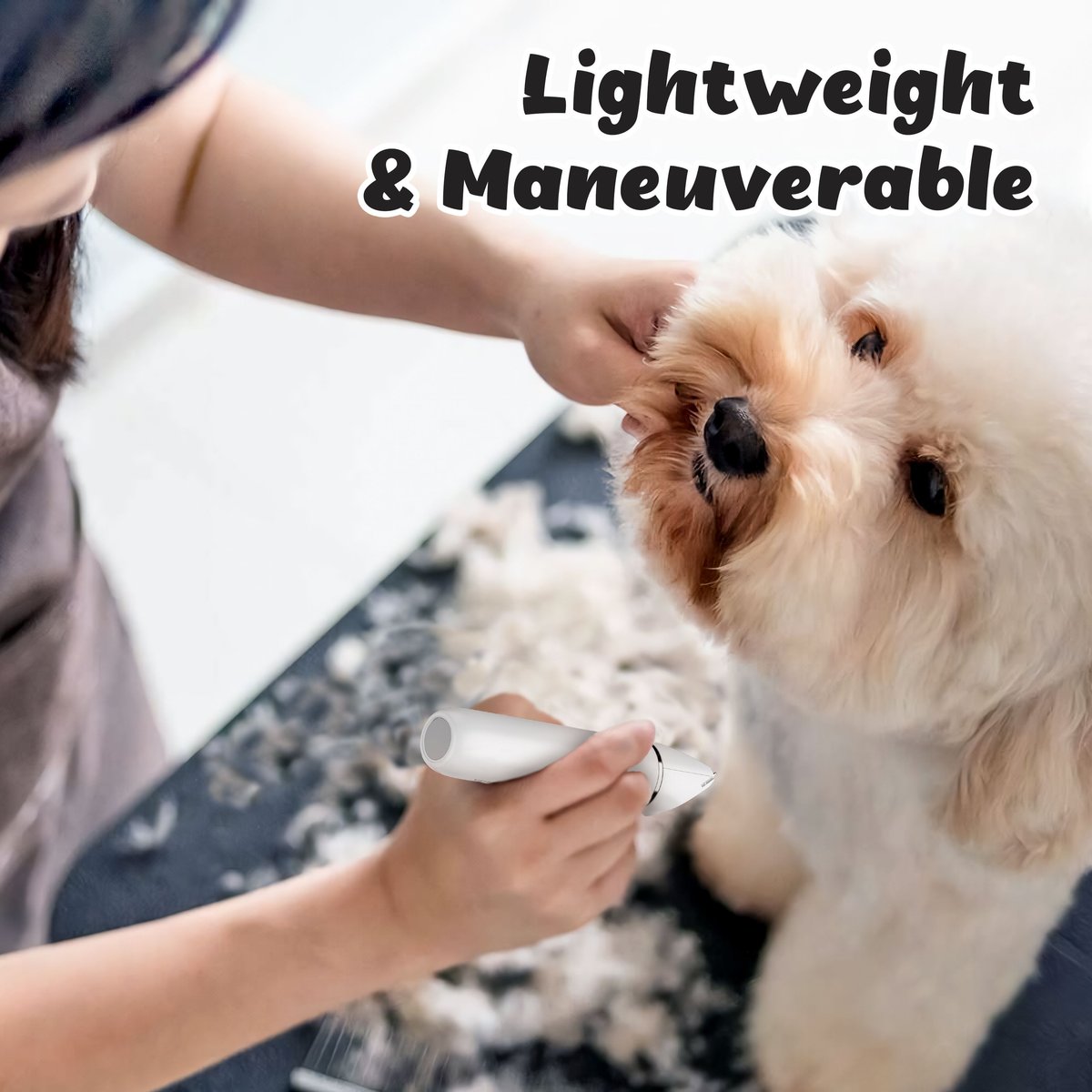 CASFUY Small Low Noise 2 in 1 Trimming Paw Face Narrow Dog hair ...