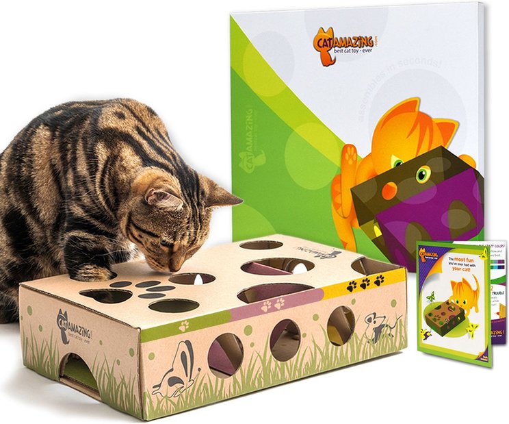 Cat Treat Dispenser Toys - Free shipping | Chewy