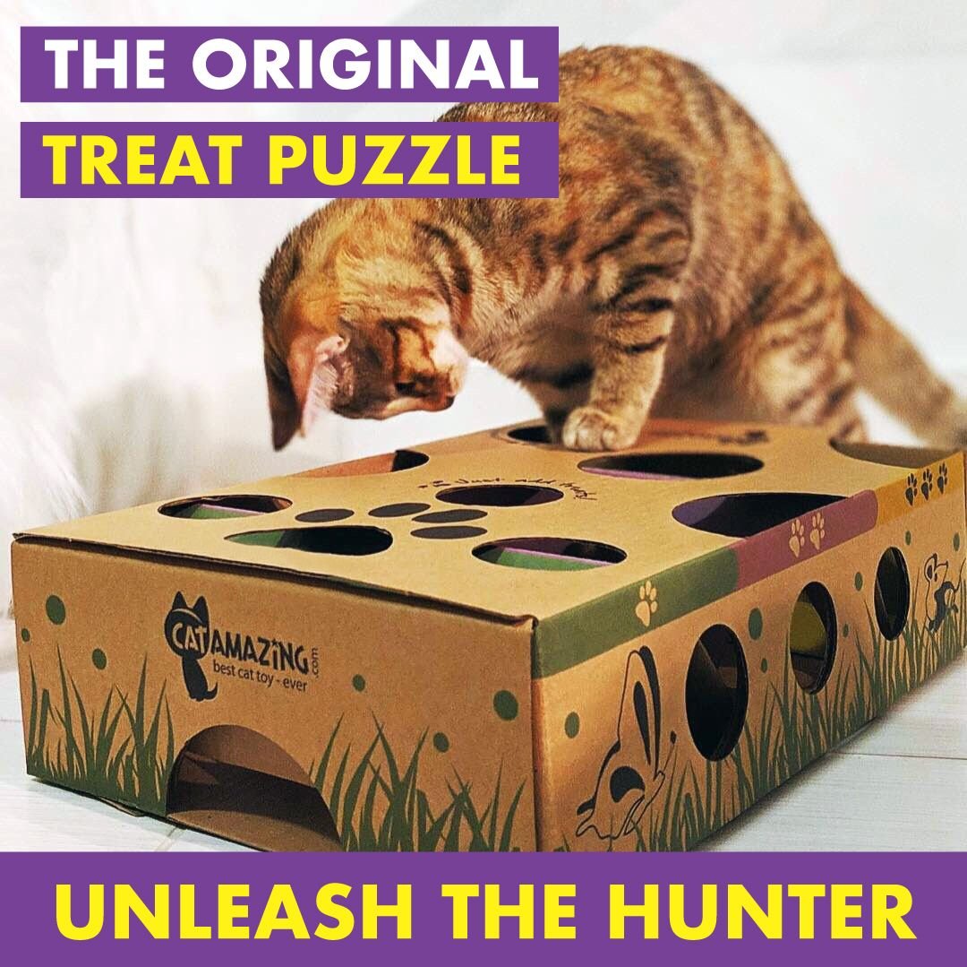 CAT AMAZING Interactive Treat Maze & Puzzle Cat Toy - Chewy.com