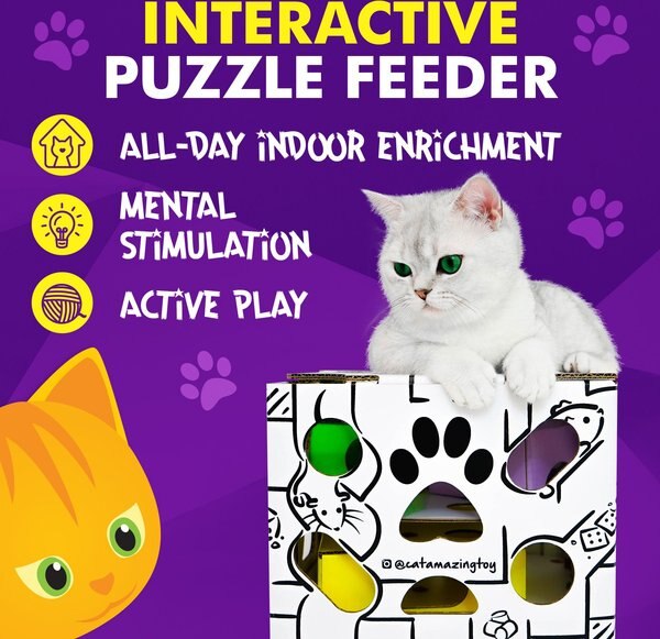 CAT AMAZING Sliders Interactive Treat Maze & Puzzle Cat Toy - Chewy.com