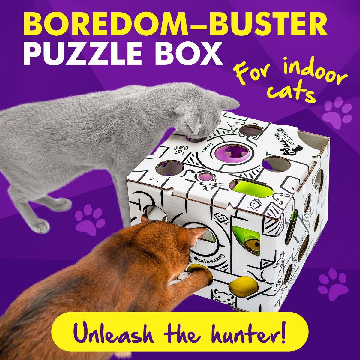 CAT AMAZING Sliders Interactive Treat Maze & Puzzle Cat Toy - Chewy.com