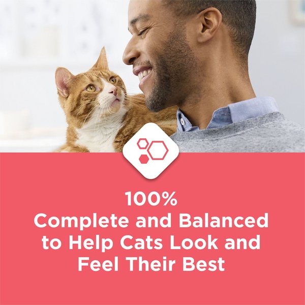 Purina Cat Chow Complete High Protein with Real Salmon Dry Cat Food, 15 ...