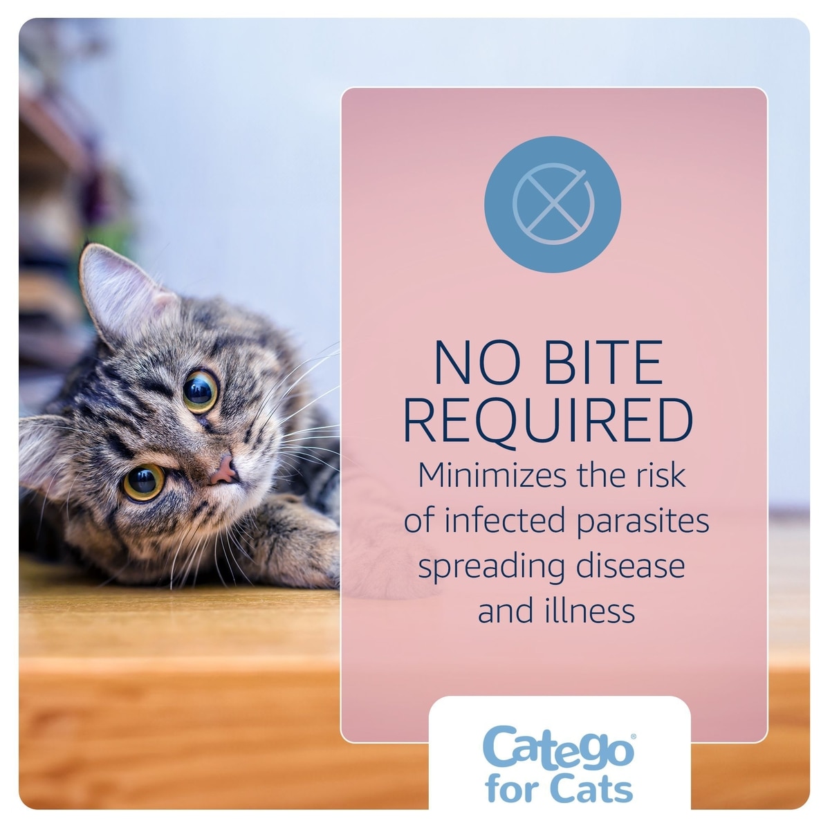 CATEGO Flea & Tick Spot Treatment for Cats, over 1.5 lbs, 12 Doses (12 ...