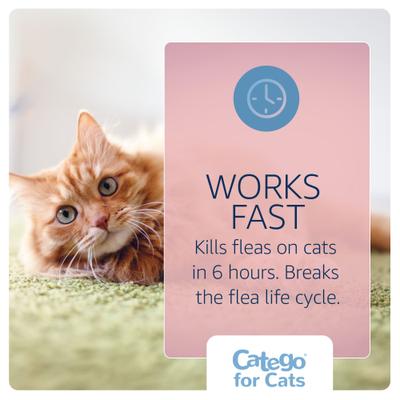 CATEGO Flea & Tick Spot Treatment for Cats, over 1.5 lbs, 12 Doses (12 ...