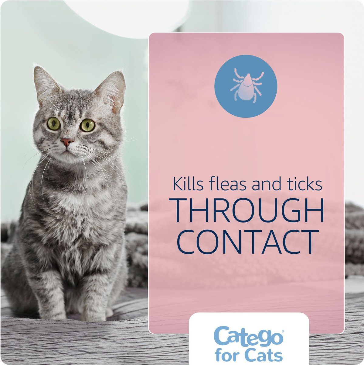 CATEGO Flea & Tick Spot Treatment for Cats, over 1.5 lbs, 3 Doses (3 ...