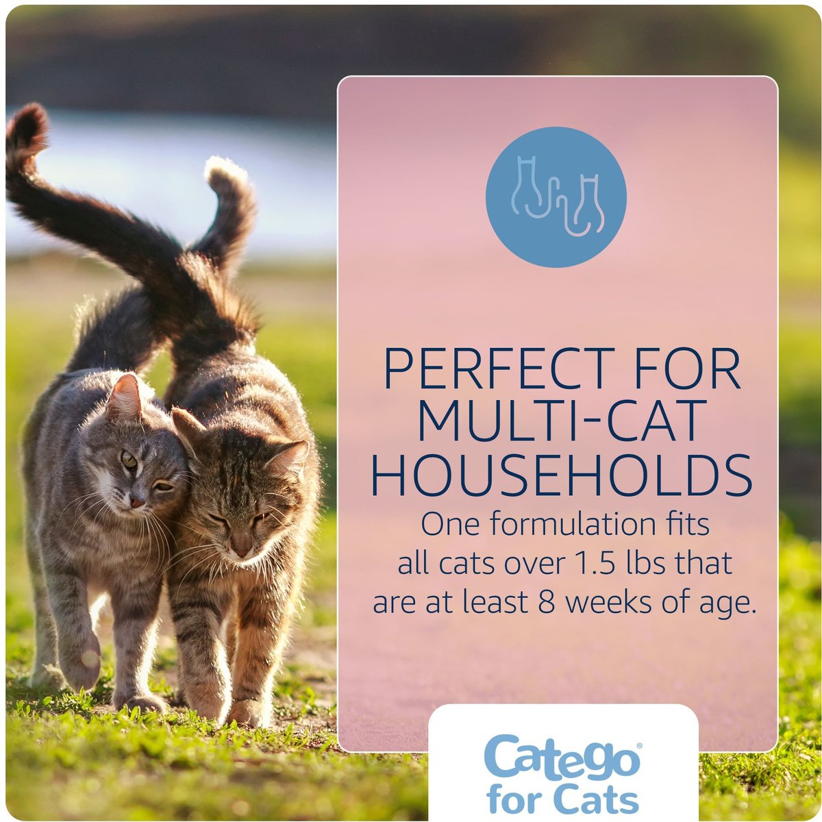 CATEGO Flea & Tick Spot Treatment for Cats, over 1.5 lbs, 3 Doses (3 ...