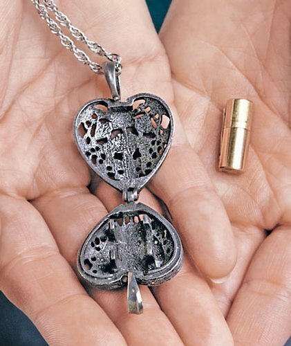 CATHEDRAL ART Paw Print Memorial Ashes Locket Necklace, Pewter - Chewy.com