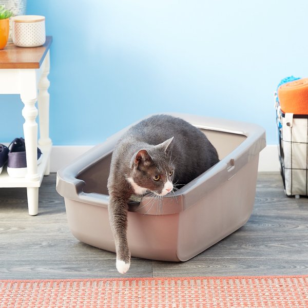 CATIT Cat Pan with Rim, Gray - Chewy.com