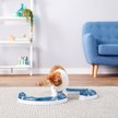Discontinued - CATIT Design Senses Circuit Cat Toy, Play - Chewy.com
