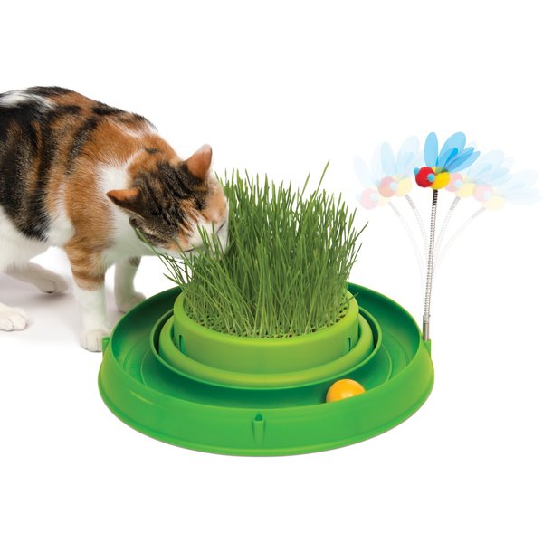 CATIT Play Interactive Grass Circuit Ball Cat Toy - Chewy.com