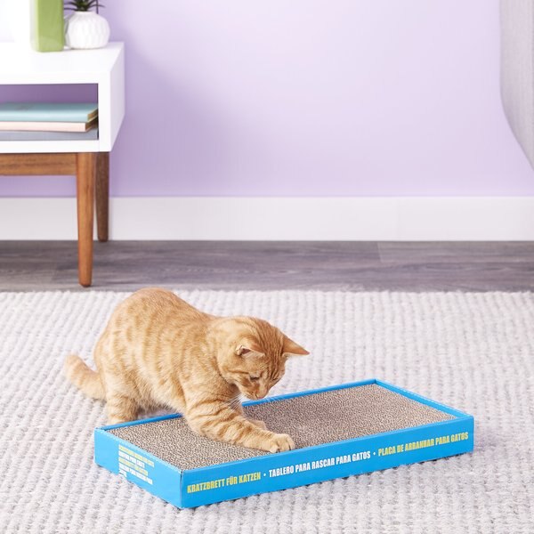 Discontinued - CATIT Scratcher with Catnip, Wide - Chewy.com